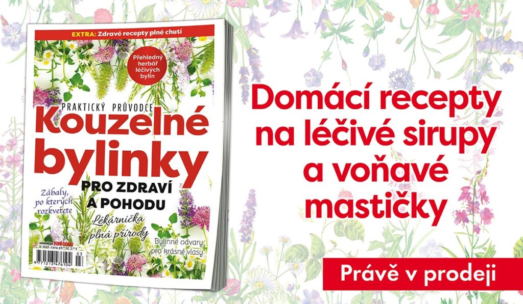 Knihovnička Kouzelné bylinky pro zdraví a pohodu v prodeji! – Epochaplus.cz